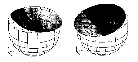 The Dynamic Behaviour of Fluids in Microgravity