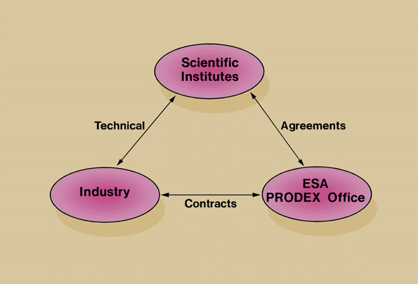 Prodex - The First 10 Years