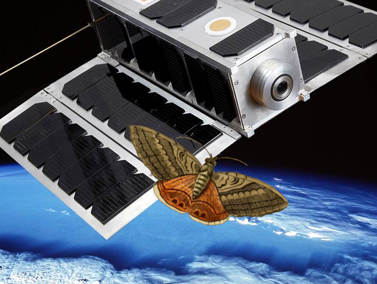 Olfactory system as a blueprint for novel neural architectures for ...