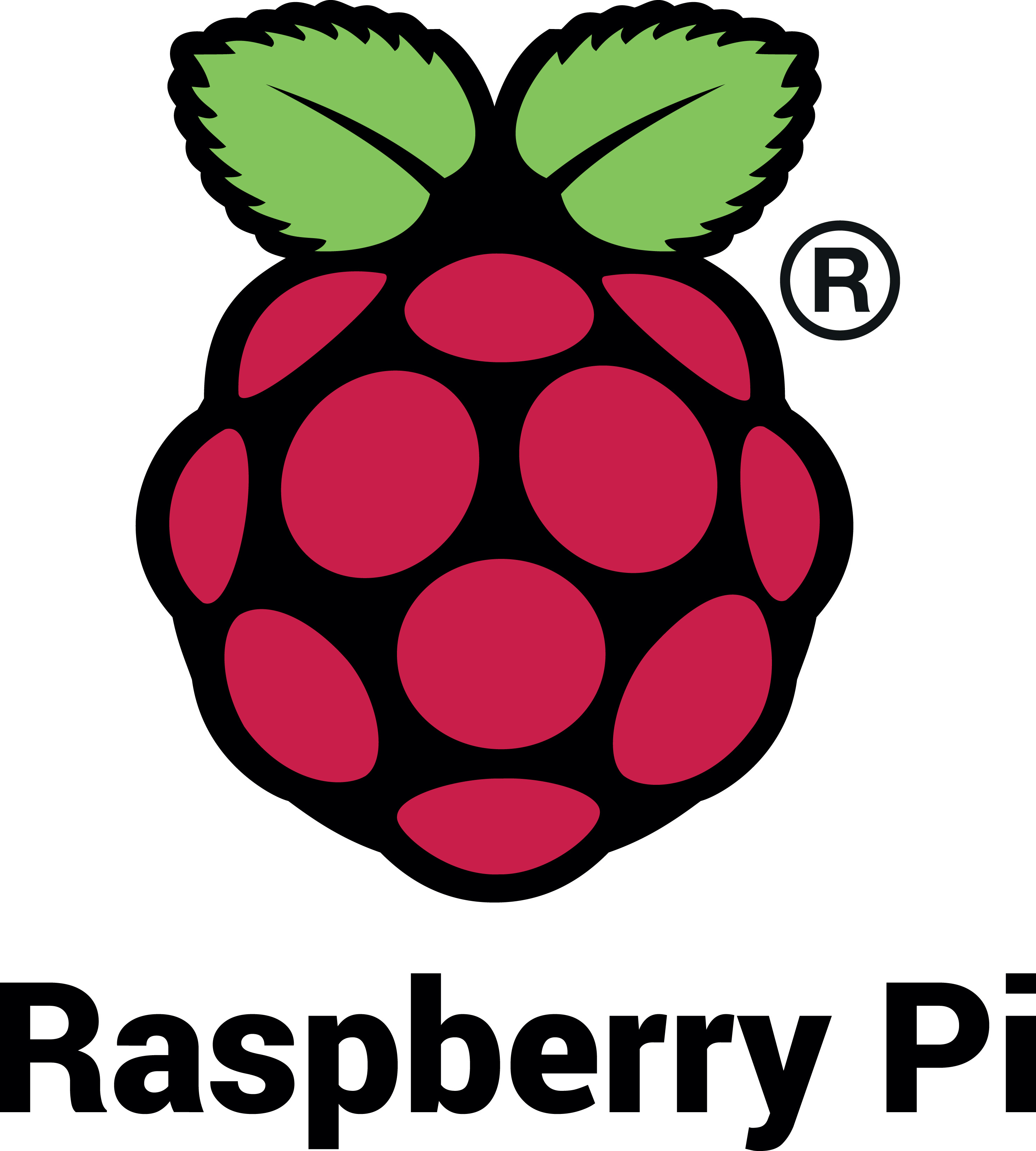 ESA - Raspberry Pi logo ESA - Raspberry Pi logo